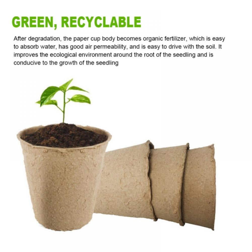 Clearance! Plants Large Peat Pots | Plantable Pots for Starting Seeds ...
