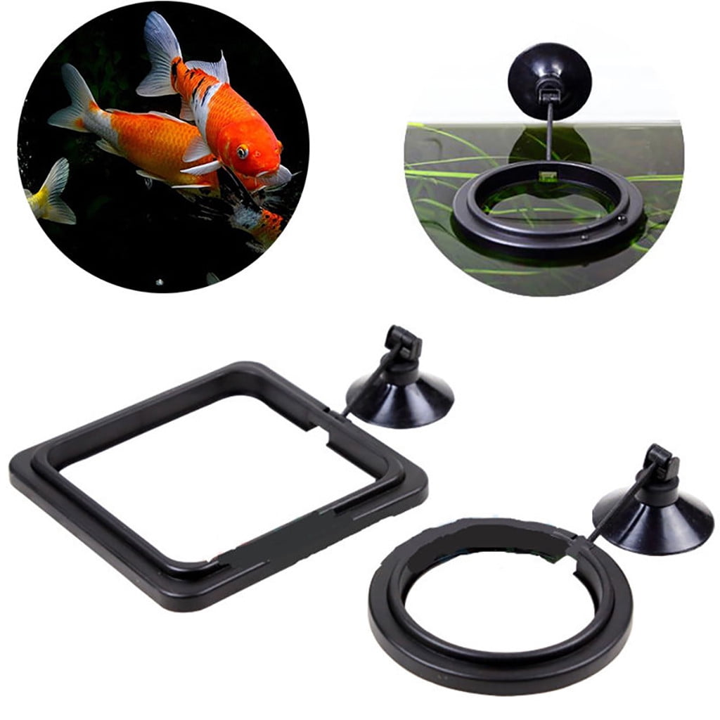 Clearance & Promo, Floating Feeding Station for Aquarium Fish, Square and Circle Food Tray ...