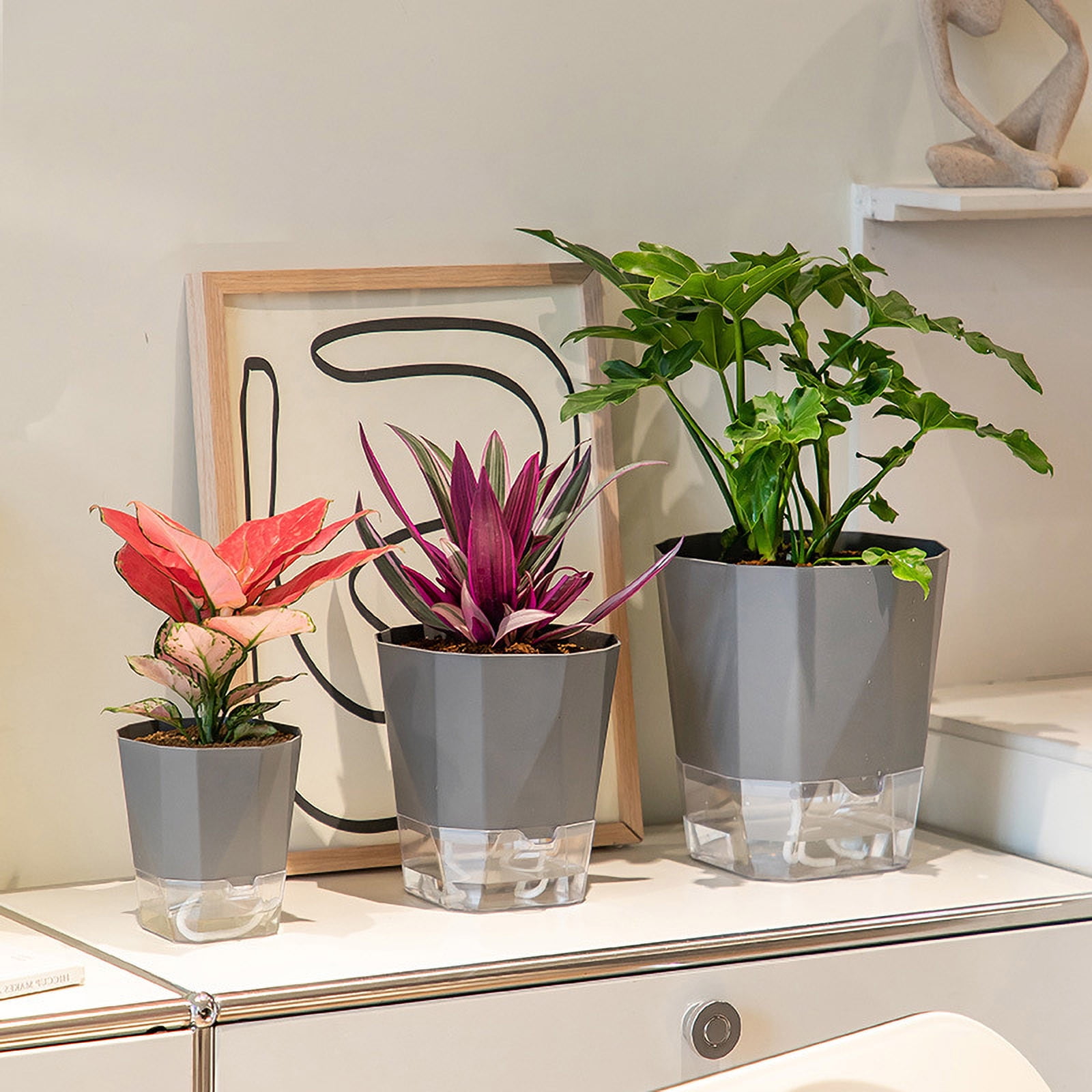 Clearance & Promo, Smart Auto Watering Planter, Transparent Resin Pot ...