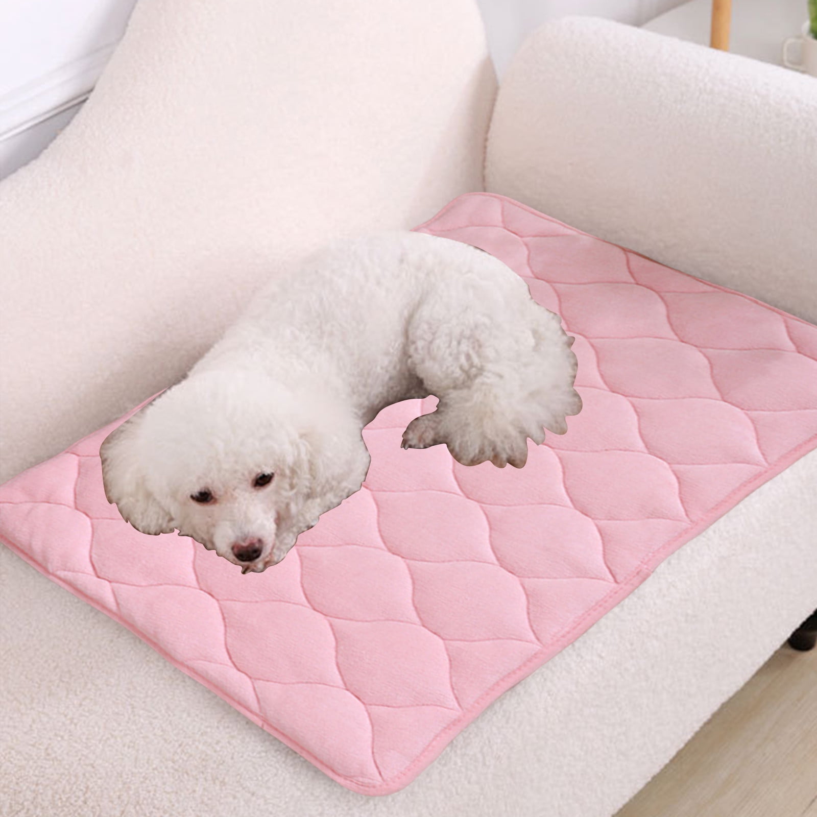 Clearance & Promo, Winter Pet Mat, Cats Mat, Dog Mat, Kennel Mat ...