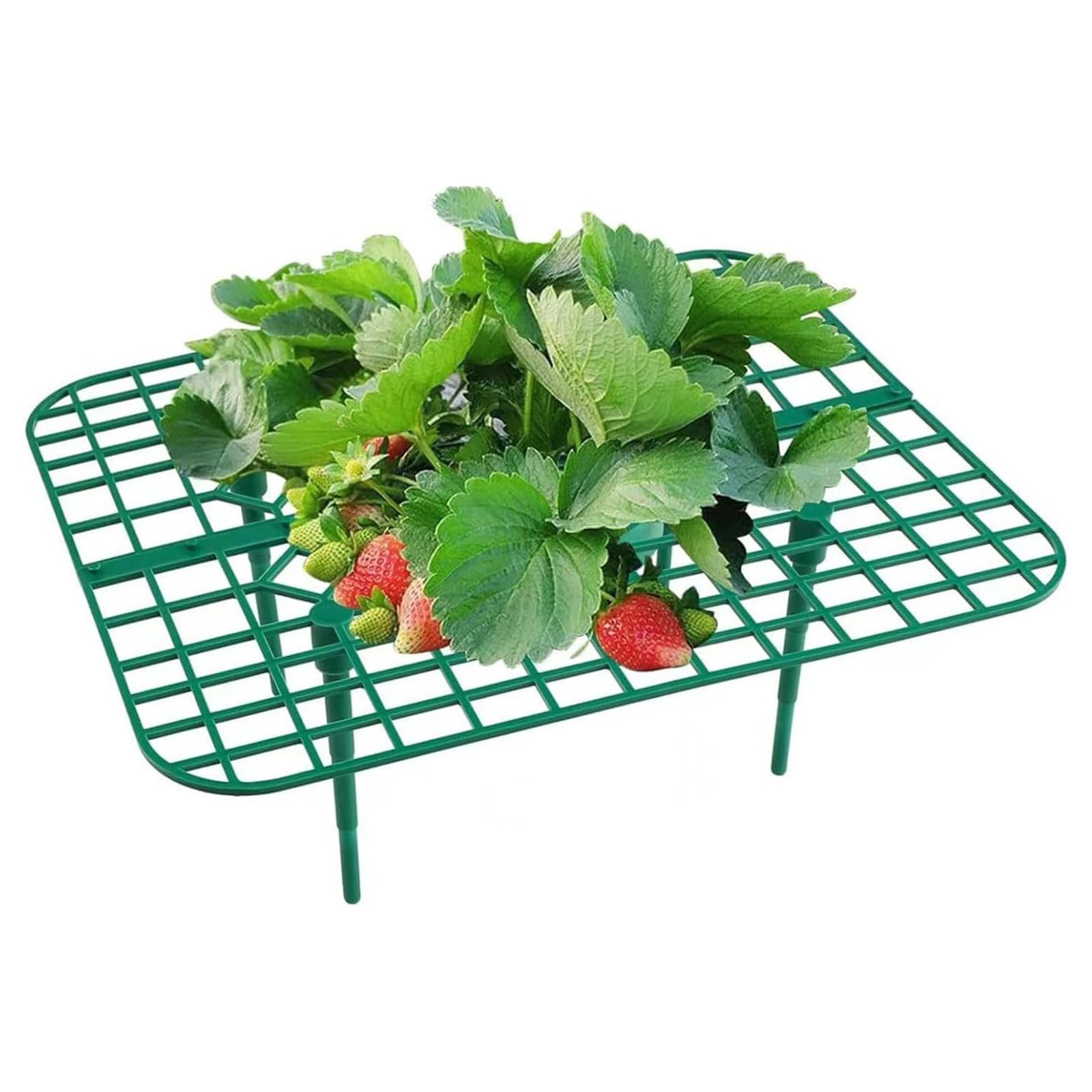 Clearance Rack under $5,Strawberry Plant Support Strawberry Stand ...