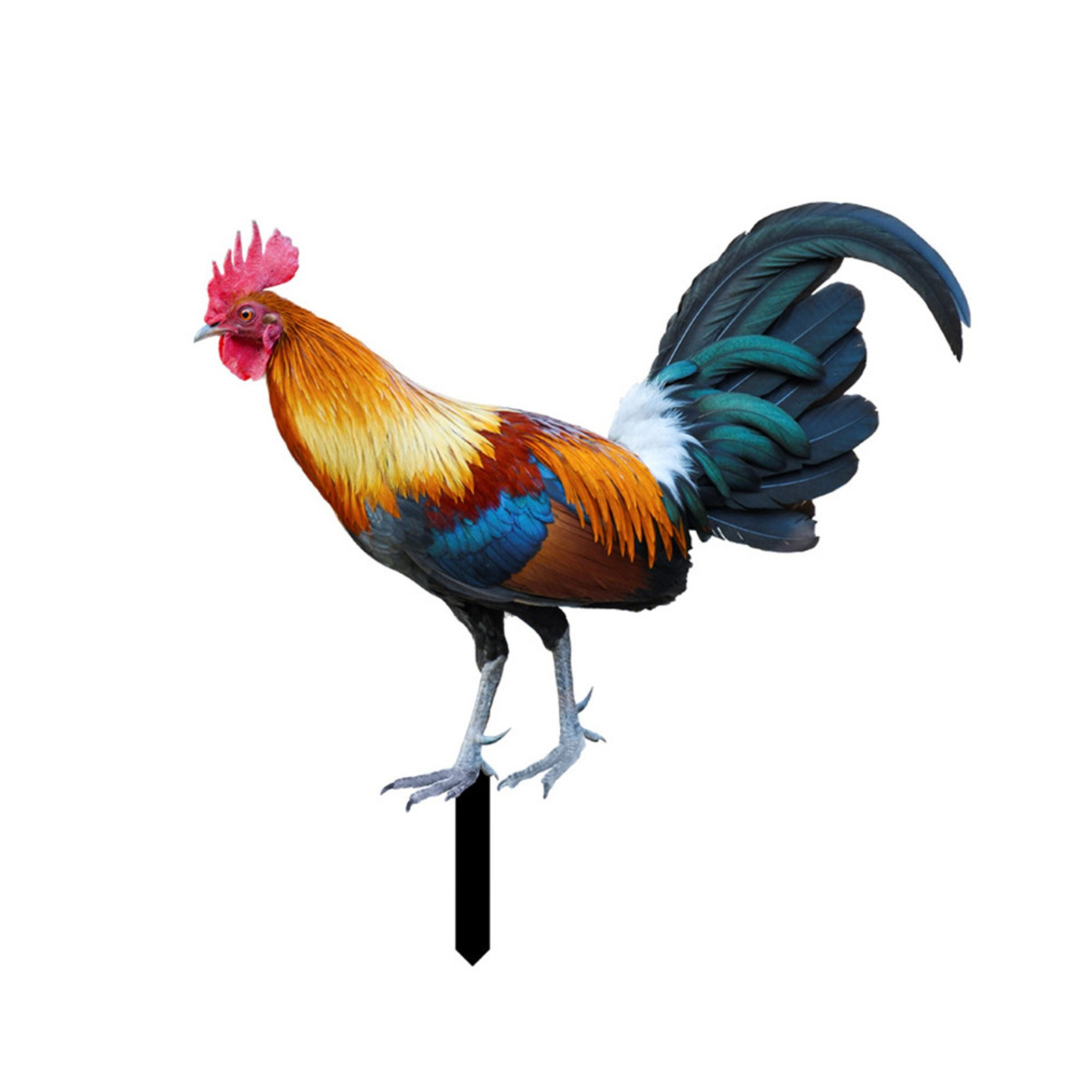 Clearance! Realistic Chicken Statues,Acrylic Rooster Animals Stakes ...