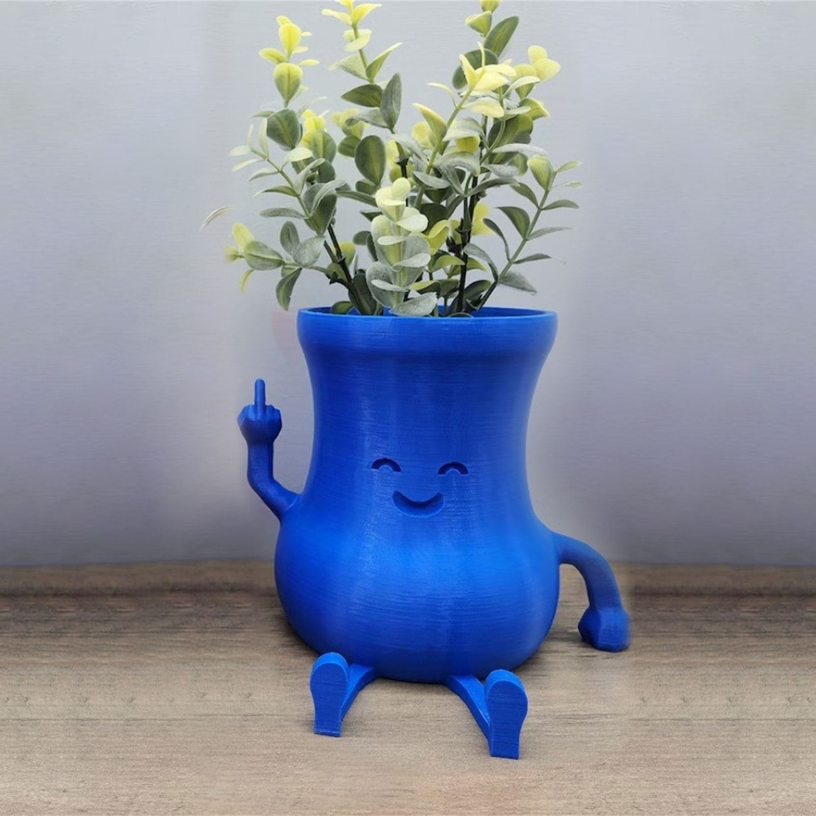 Clearance! Shishian Planters For Indoor Plants Middle Finger Succulent ...