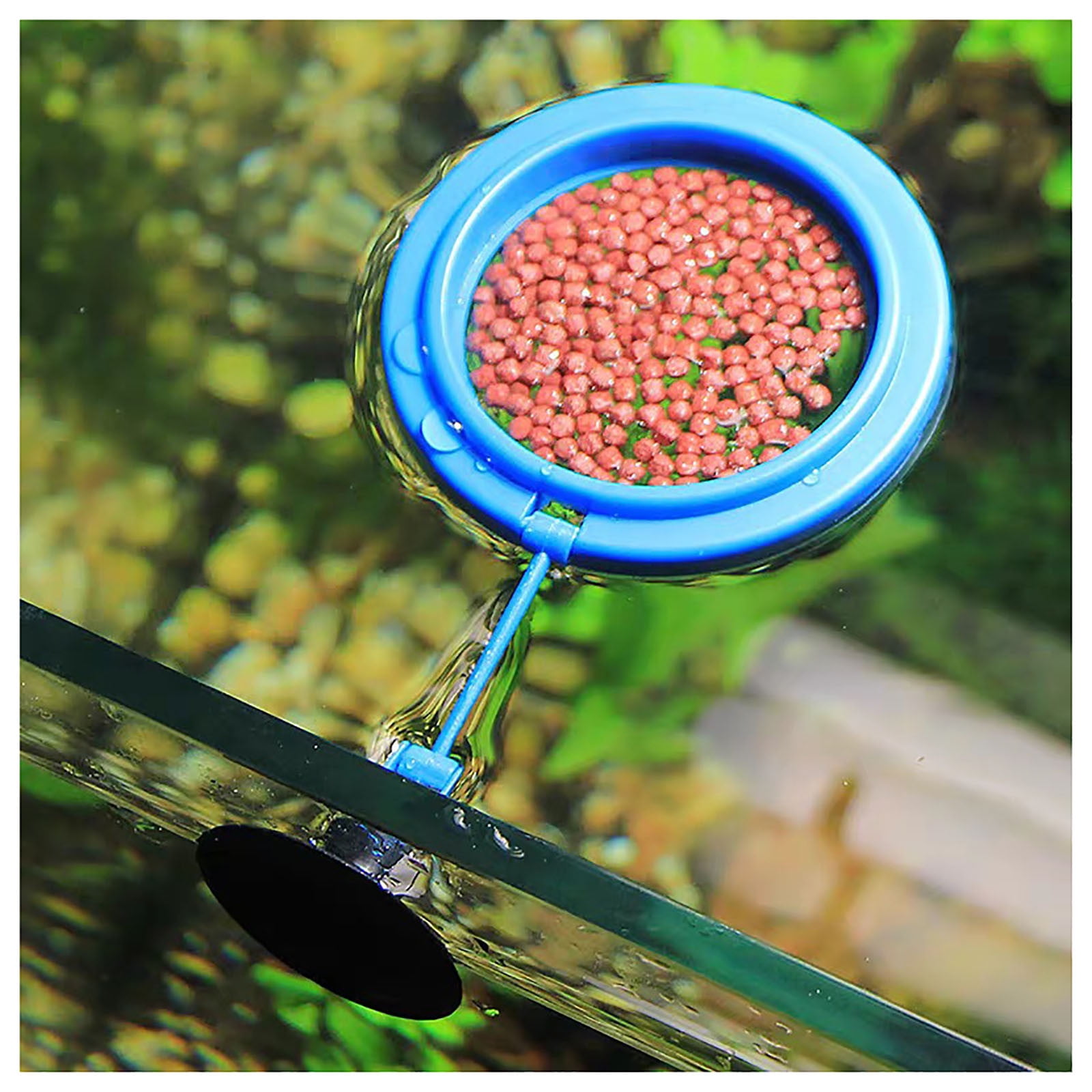 Clearance Under $5 Fish Food Feeding Ring Aquarium Fixed-point Feeding ...