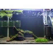 Coralife Biocube Filter Cartridge 2 Pack - Walmart.com