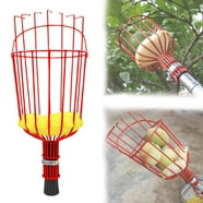 YeYeBest Fruit Picker Pole with Basket,8ft Adjustable Height Fruit ...