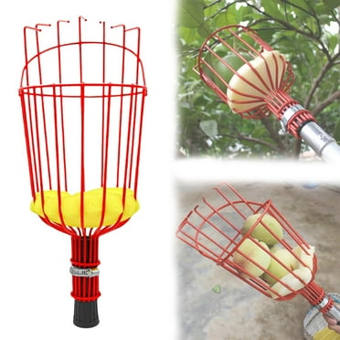 YeYeBest Fruit Picker Pole with Basket,8ft Adjustable Height Fruit ...