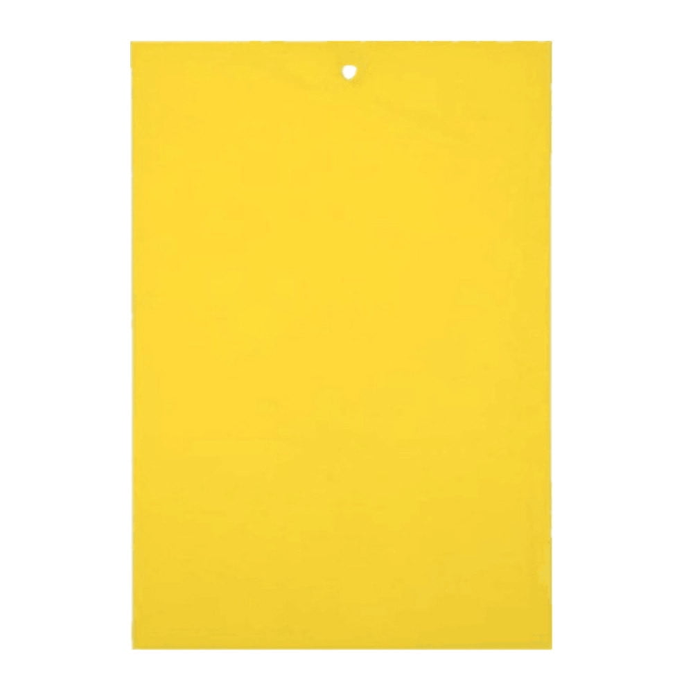 Clearance Pdqouc Single Sided Yellow Sticky Traps For Flying Plant Insect Such As Fungus Gnats