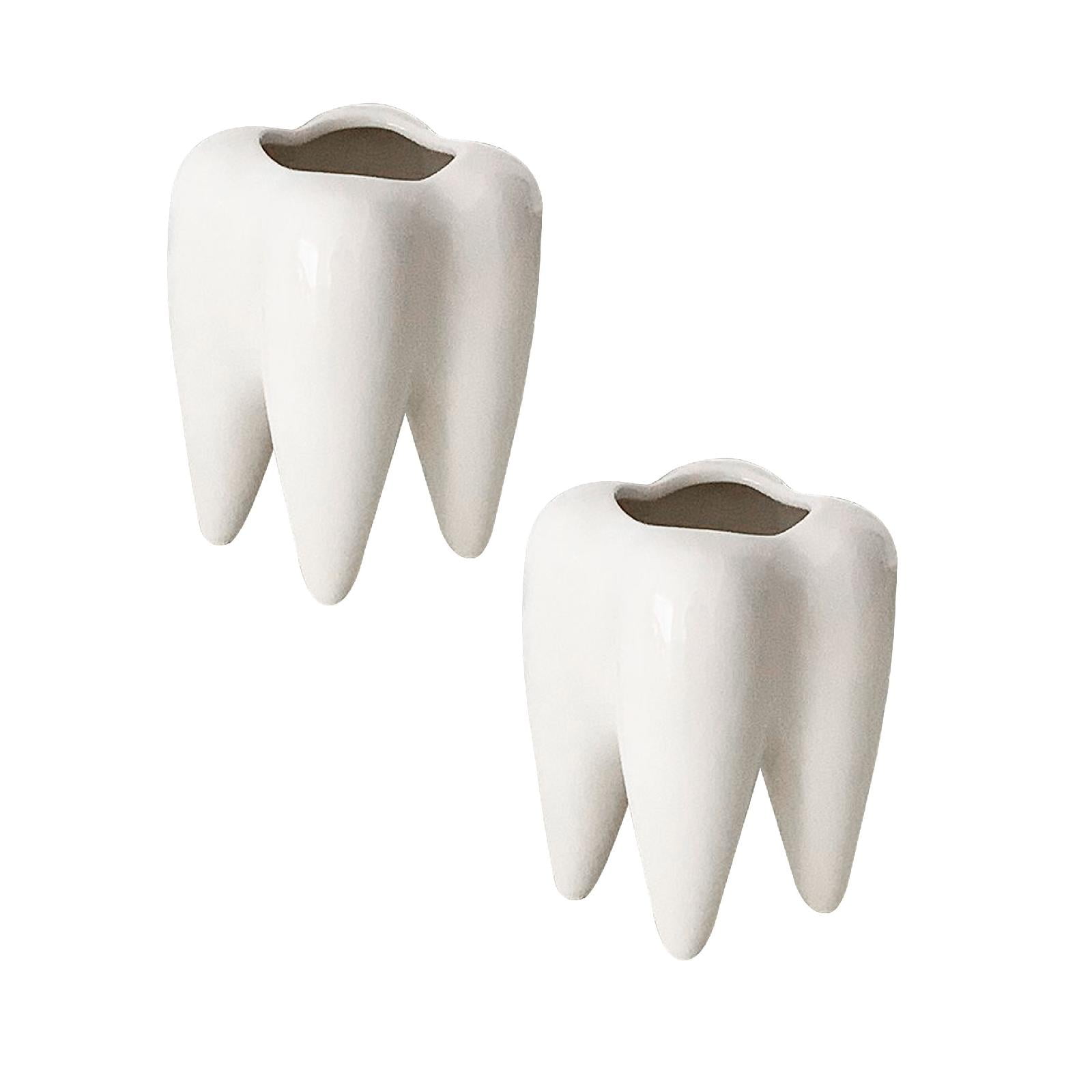 Clearance pencil holder under $7,Tooth Shaped Pen Holder Oothbrush Cup Succulent Pots Cute Tooth ...