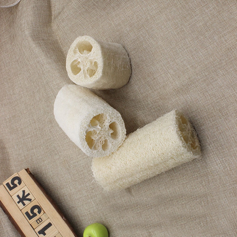 Clearance sale Loofahs - Authentic Egyptian Loofah, Ideal for Daily ...