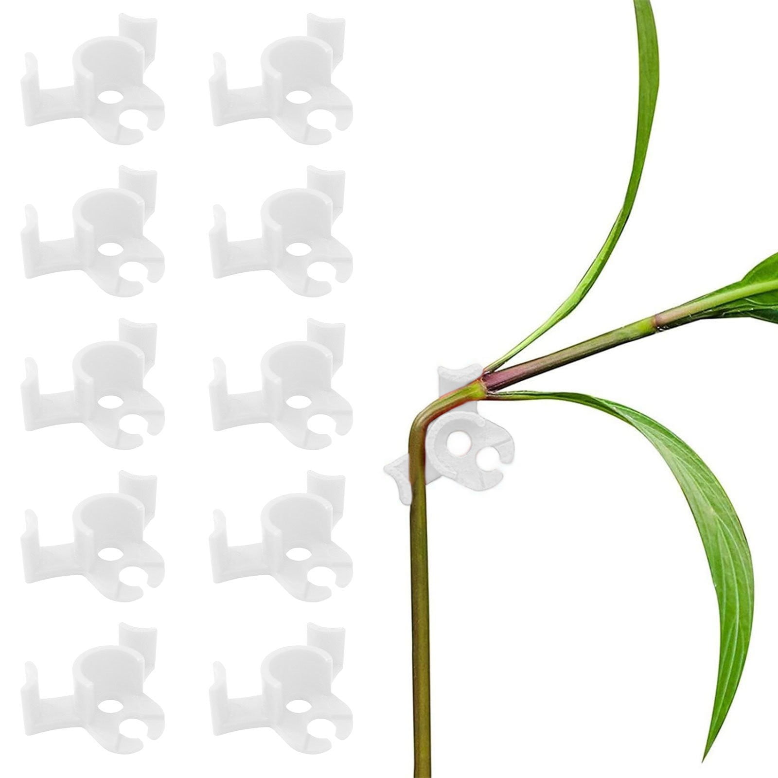 Clearing!GuaLeg Fixing Clip Low Stress Training Clips Adjustable Plant ...