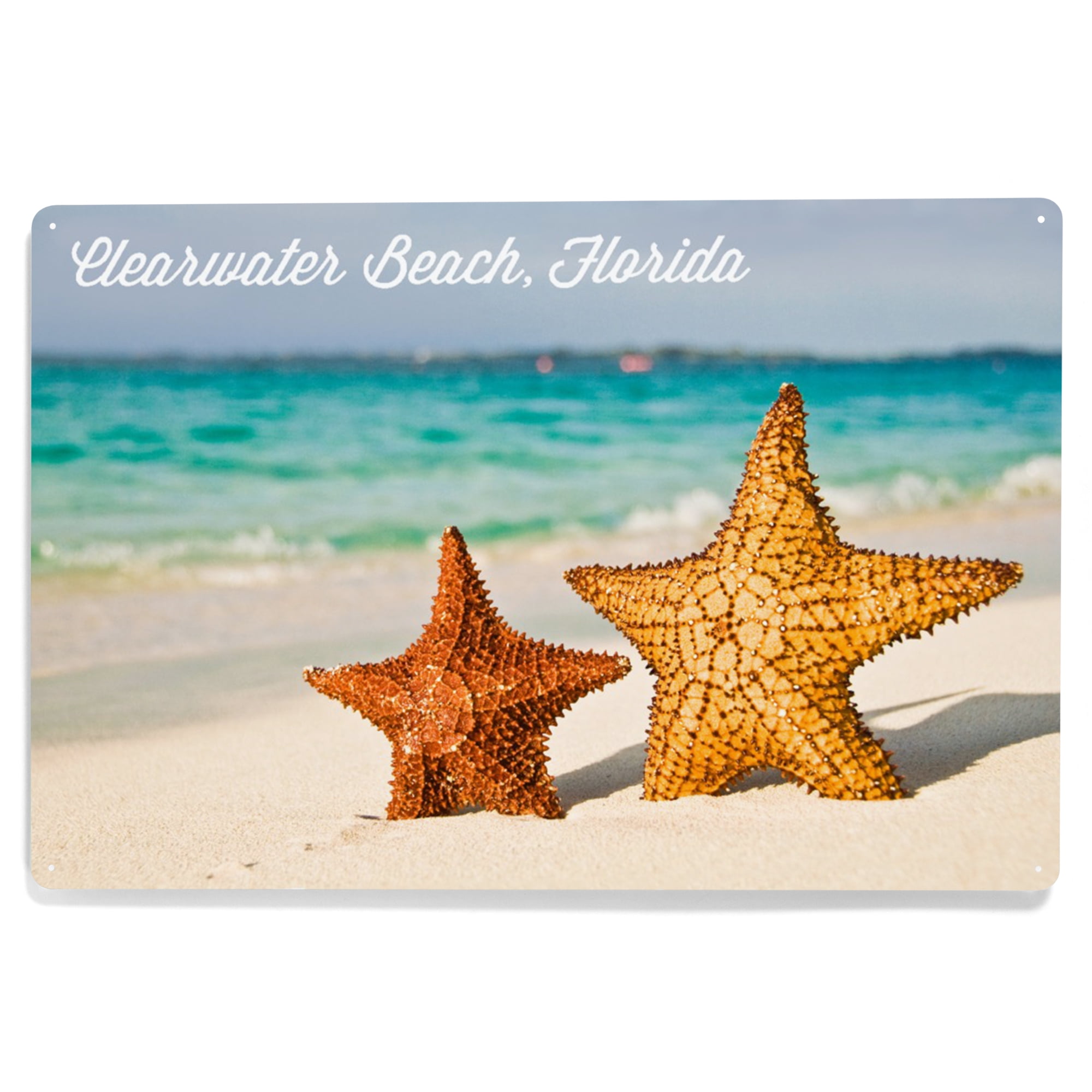 Clearwater Beach, Florida, Starfish on Beach (12x18 Aluminum Art ...