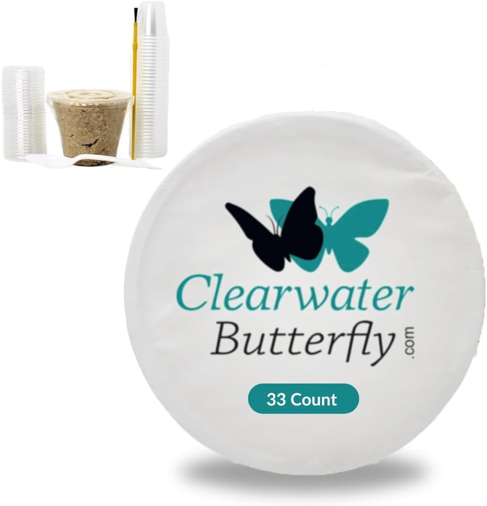 Clearwater Butterfly Live Painted Lady Butterflies - 33 Live ...