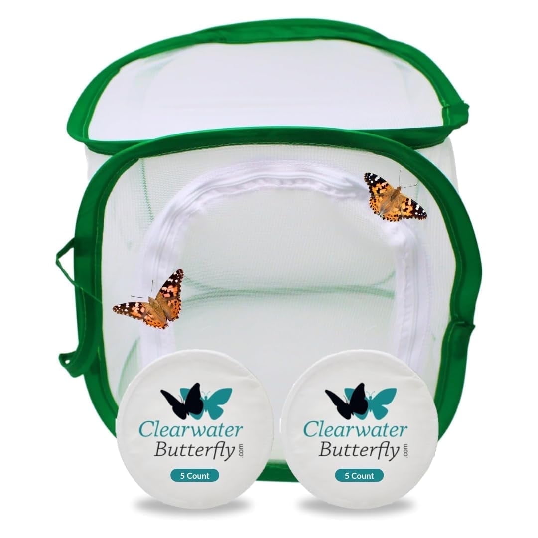 Clearwater Butterfly Live Painted Lady Butterfly Growing Kit (with 10 ...