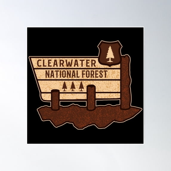 Clearwater National Forest Poster Wall Art, Modern Wall Decor, 16x16 ...