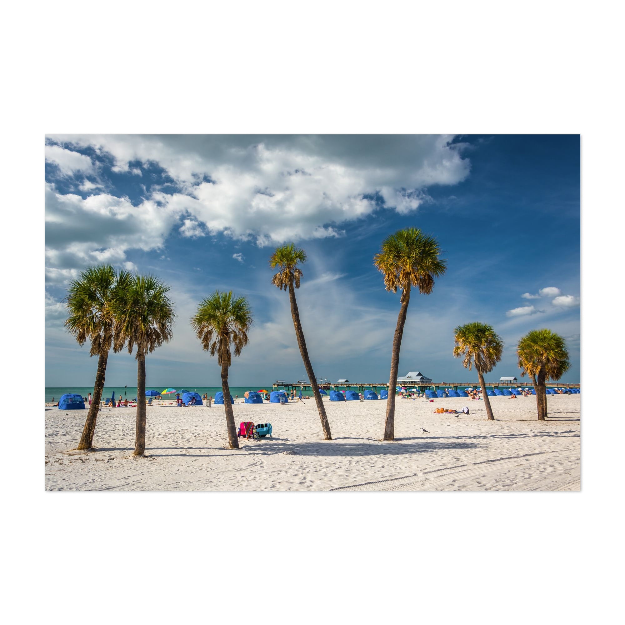 Clearwater Palms - Clearwater Beach Florida Photography Beach Palm Tree ...