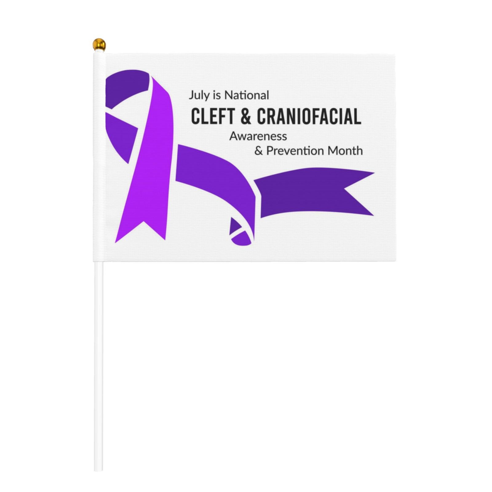 Cleft And Craniofacial Awareness And Prevention Month Flag Small Mini ...