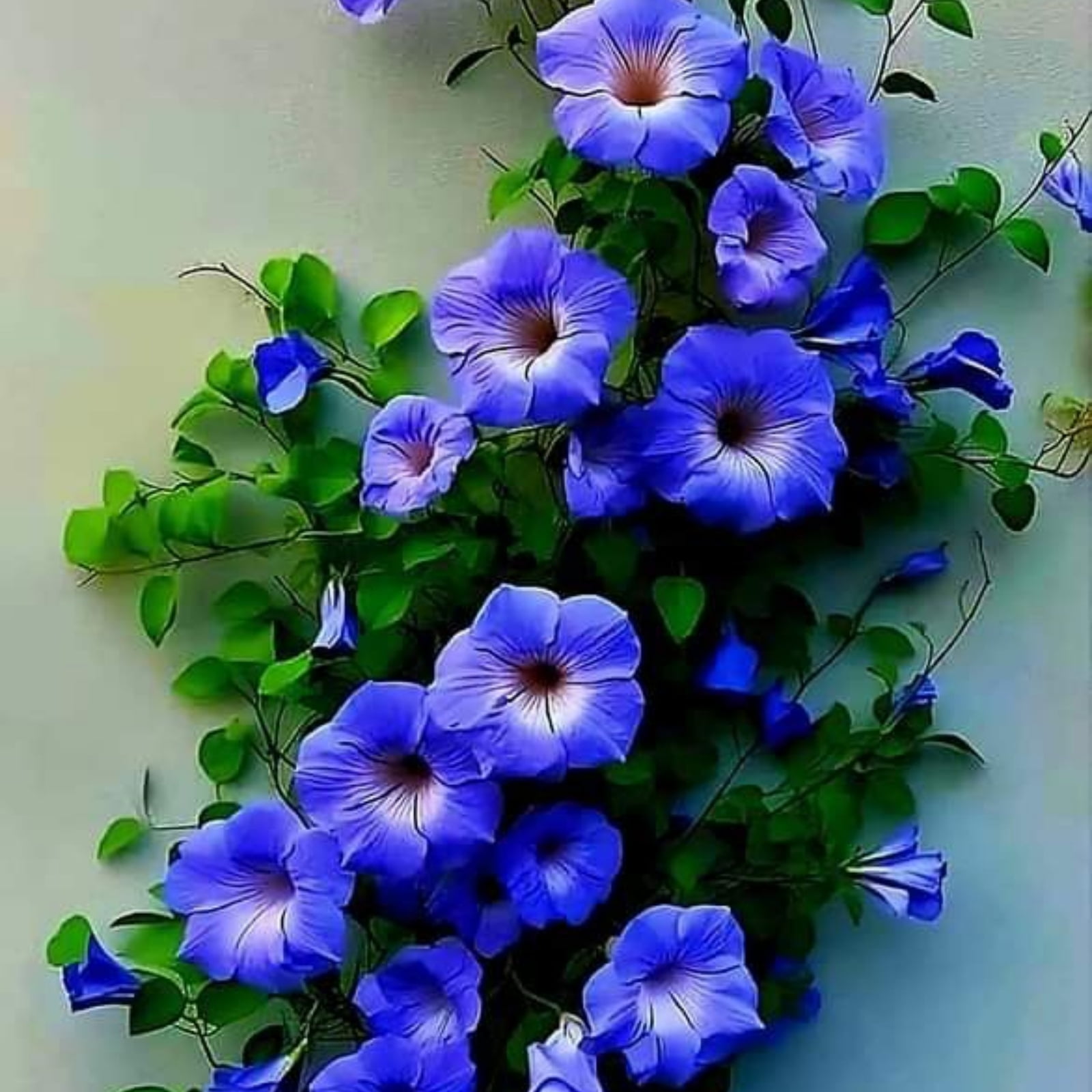 Clematis Bulbs, Vines, Perennial Cold-Resistant Plants, Garden ...