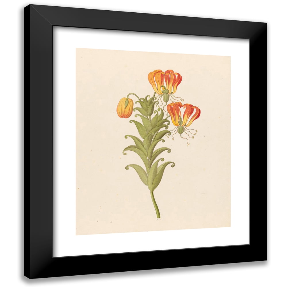 Clemenz Heinrich Wehdemann 15x18 Black Modern Framed Museum Art Print Titled - Glorious ...