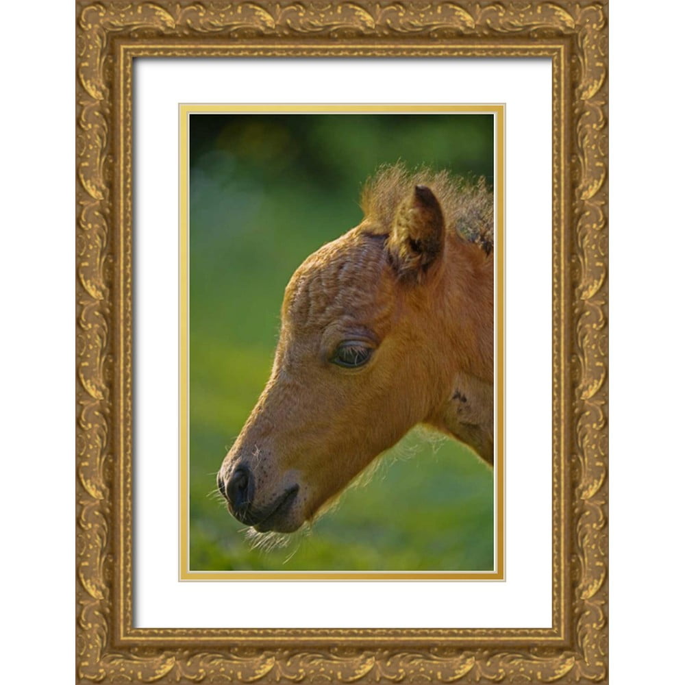 Clemons, Kathleen 11x14 Gold Ornate Wood Framed with Double Matting ...