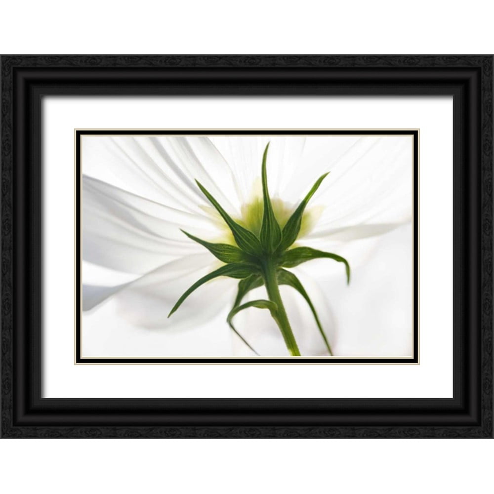 Clemons, Kathleen 14x11 Black Ornate Wood Framed with Double Matting ...