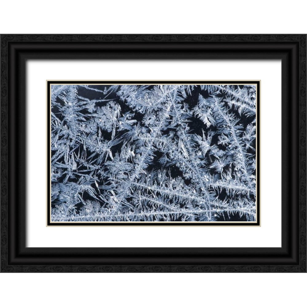 Clemons, Kathleen 14x11 Black Ornate Wood Framed with Double Matting ...