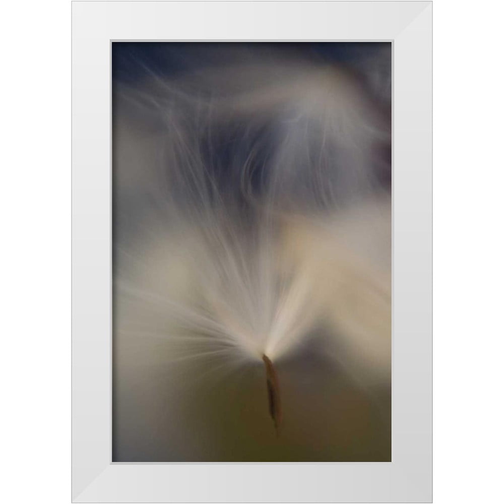 Clemons, Kathleen 17x24 White Modern Wood Framed Museum Art Print ...