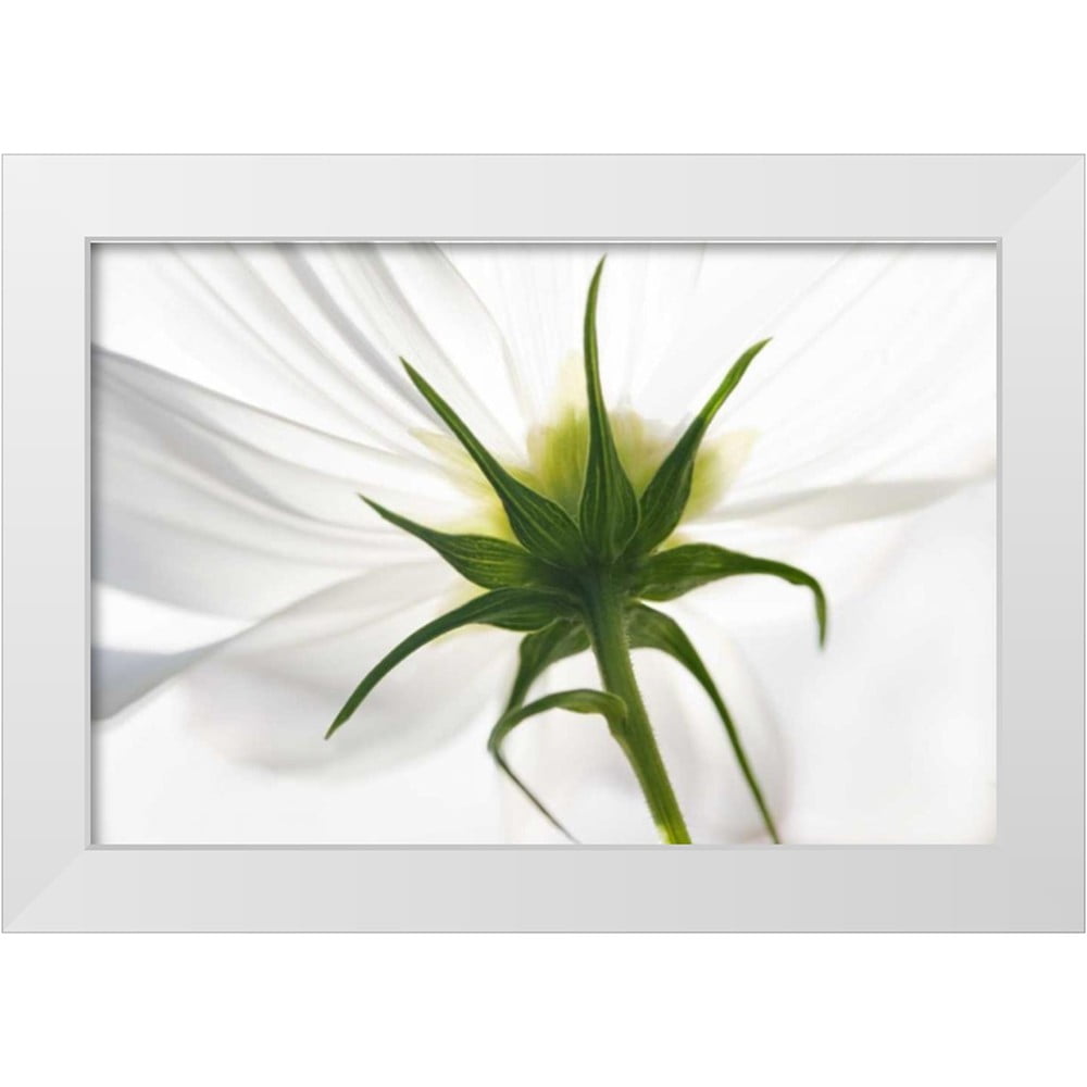 Clemons, Kathleen 18x13 White Modern Wood Framed Museum Art Print ...