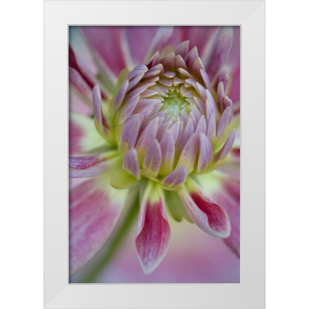 Clemons, Kathleen 23x32 White Modern Wood Framed Museum Art Print ...