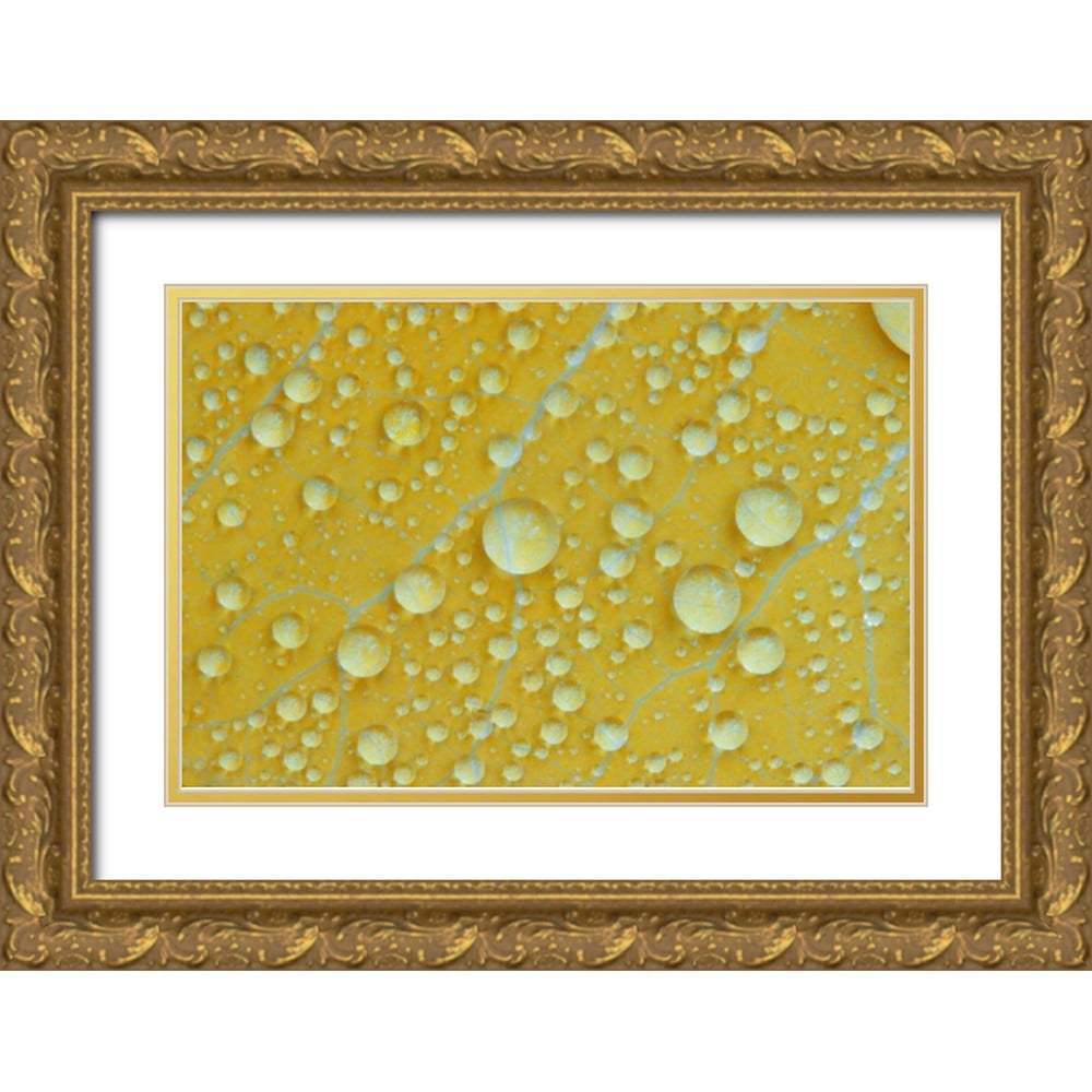 Clemons, Kathleen 24x17 Gold Ornate Wood Framed with Double Matting ...