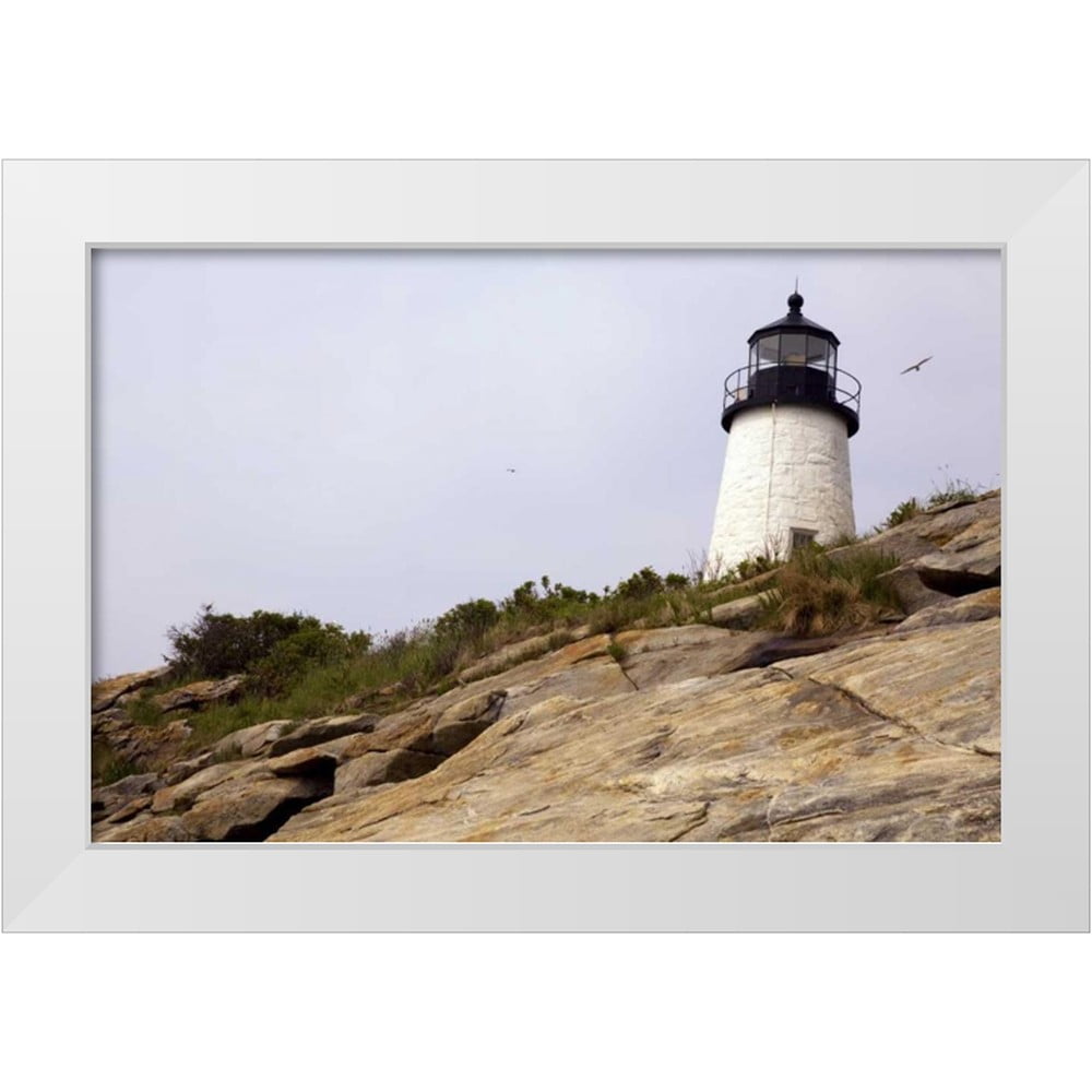 Clemons, Kathleen 32x22 White Modern Wood Framed Museum Art Print ...