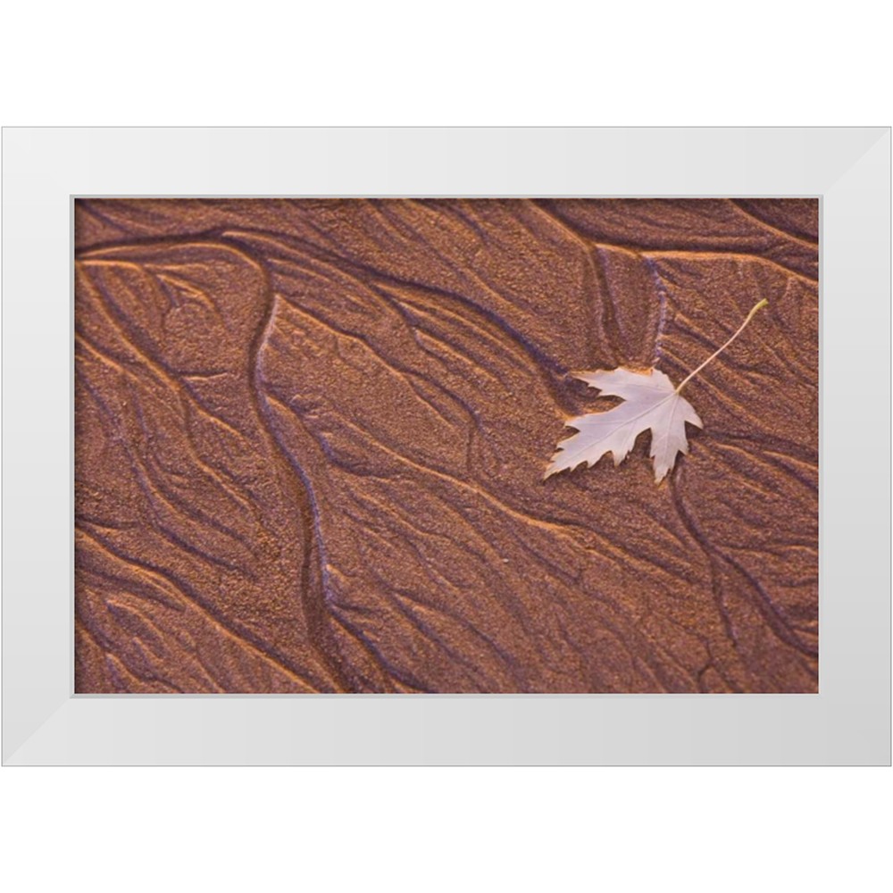 Clemons, Kathleen 32x23 White Modern Wood Framed Museum Art Print ...