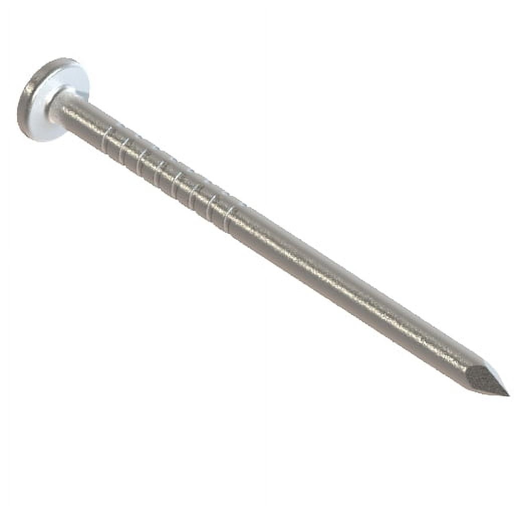 Clendenin Brothers Stainless Steel Trim Nails - Almond - 1/4lb. Box ...