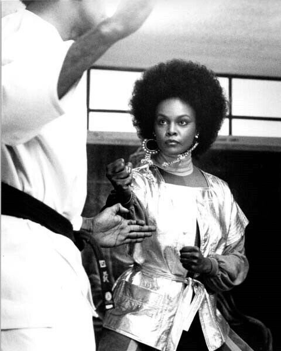 Cleopatra Jones 1973 Tamara Dobson in action kung fu style 8x10 inch ...