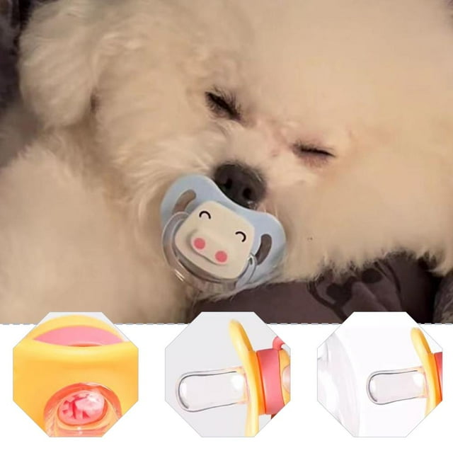Clerance! BOWTONG Silicone Pacifier Dogs Cats Biteresistant Interaction ...