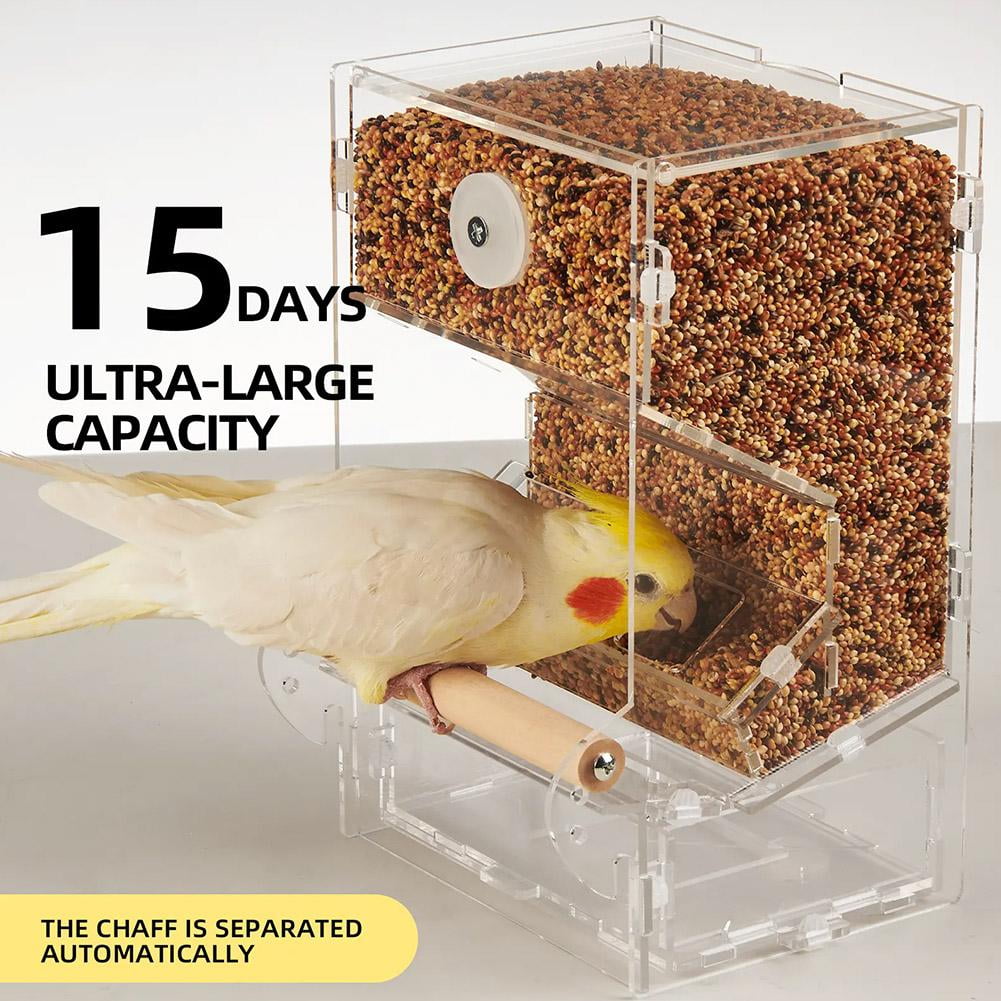 Clerance! Bird Feeder Antiscattering Food Box Parrot Automatic Feeder ...