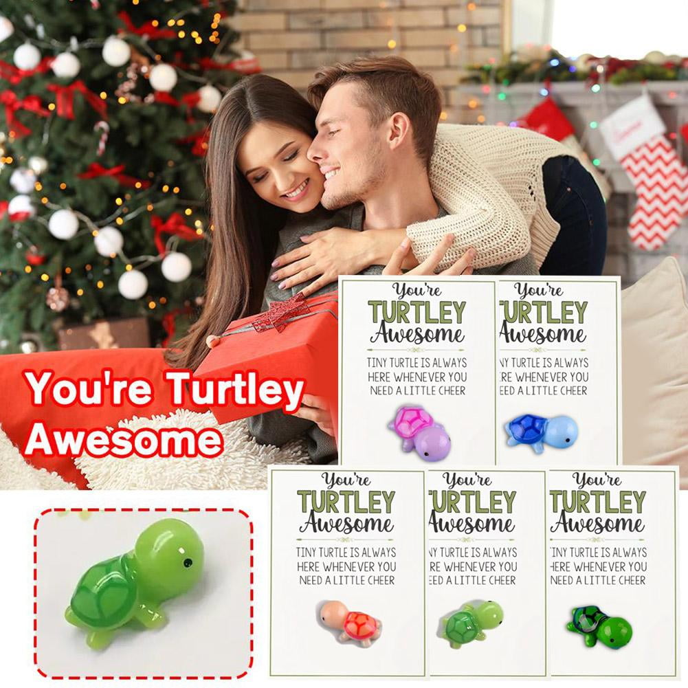 Clerance! Crazyview Youre Turtley Awesome Lucky Pocket Turtle Mini ...