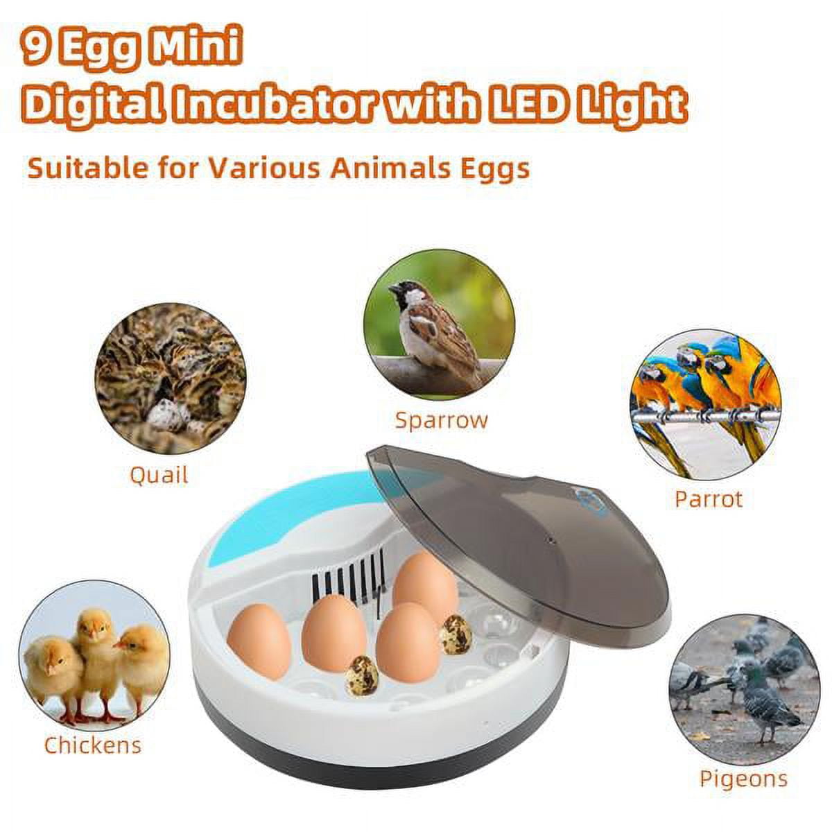 Clerance! Egg Incubator, 9 Eggs Fully Automatic Digital Incubators for Hatching Eggs with LED ...