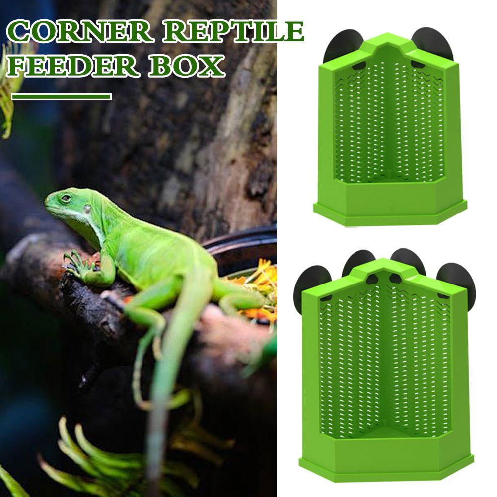 Clerance! PawCasa Bearded Dragon Feeder Corner Reptile Feeder Box ...