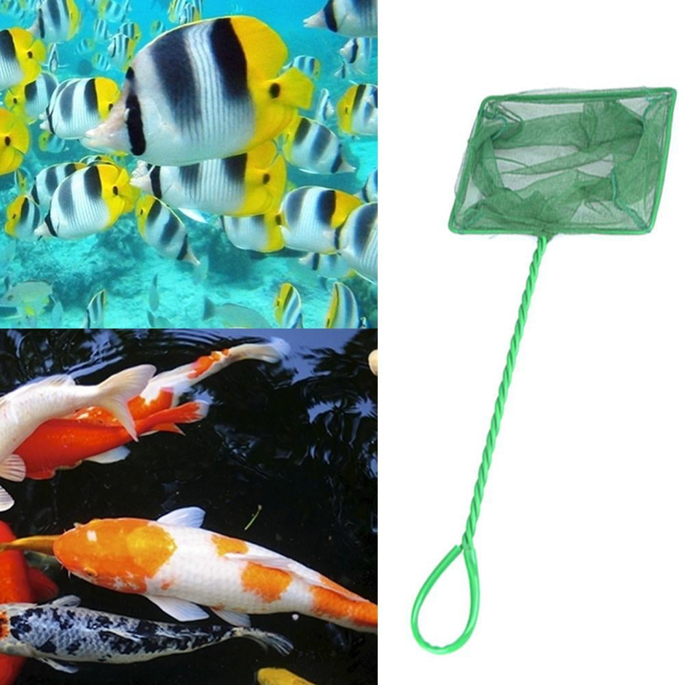 Clerance! PawCasa Versatile Aquarium Net for Easy Fish Tank Maintenance ...