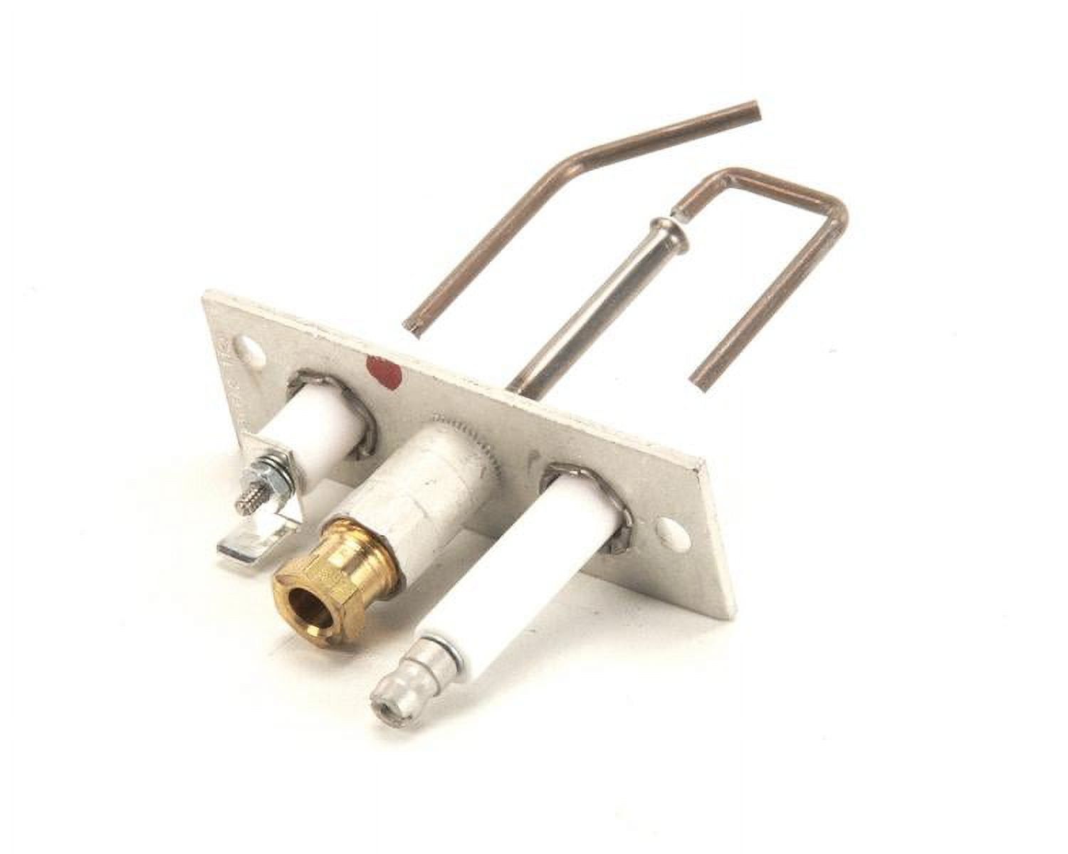 Cleveland SWR510261 Ignitor Assembly Propane Gas Roti - Walmart.com