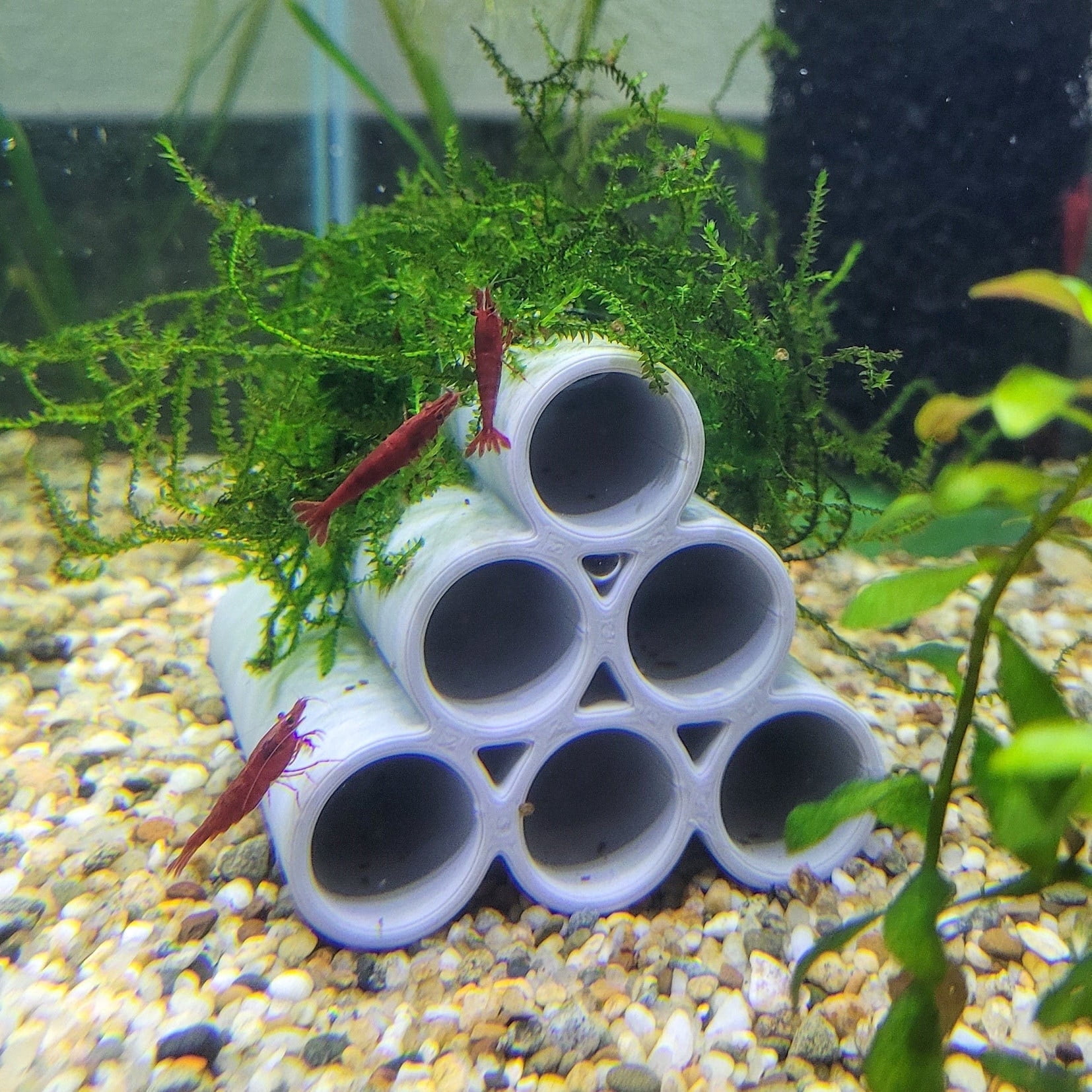 Clever Contraption Aquarium Habitat Tubes – 3D Printed Shrimp or Fish ...