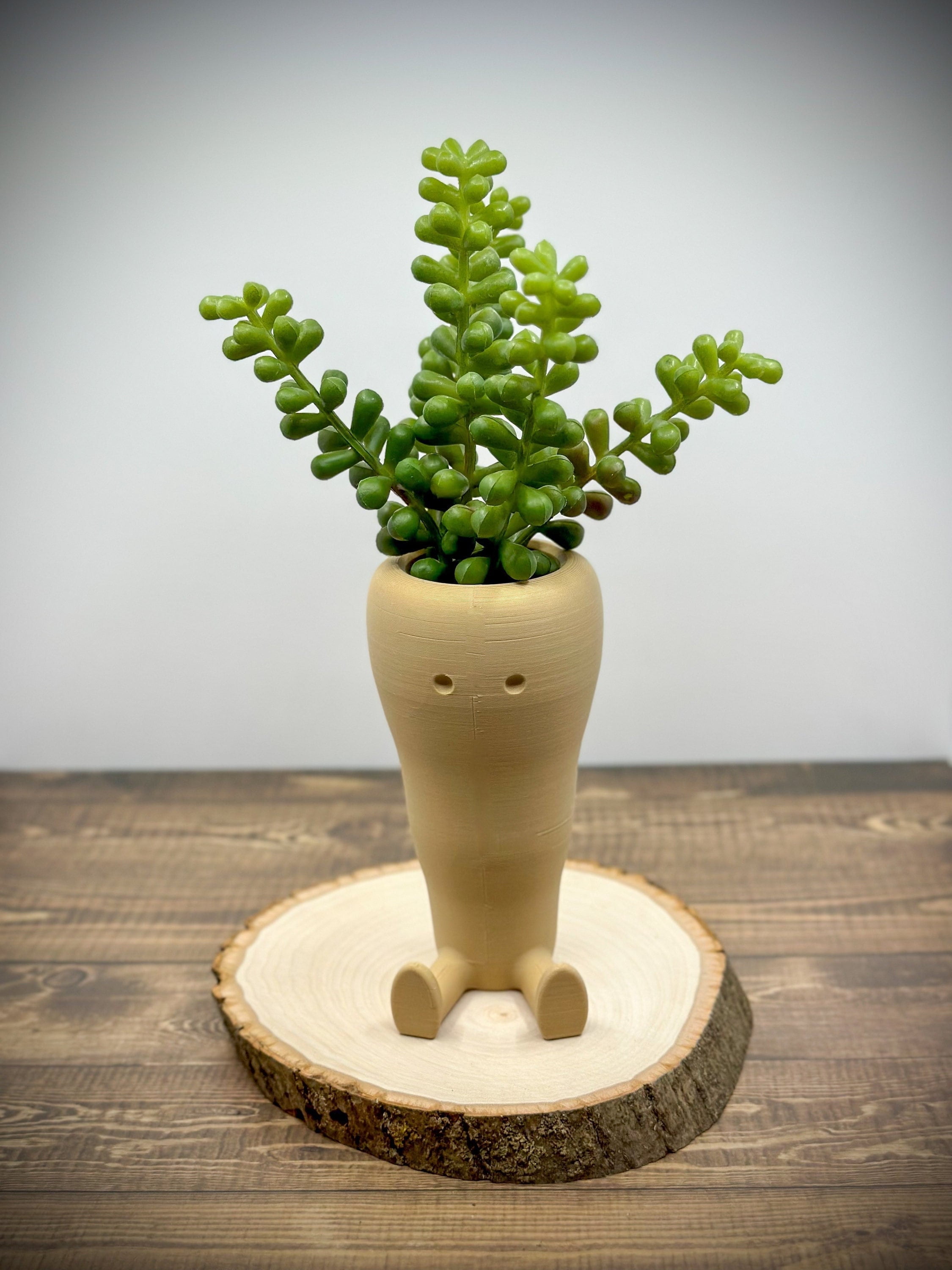 Clever Contraption Small Carrot Succulent and Cactus Planter Pot – 3D ...