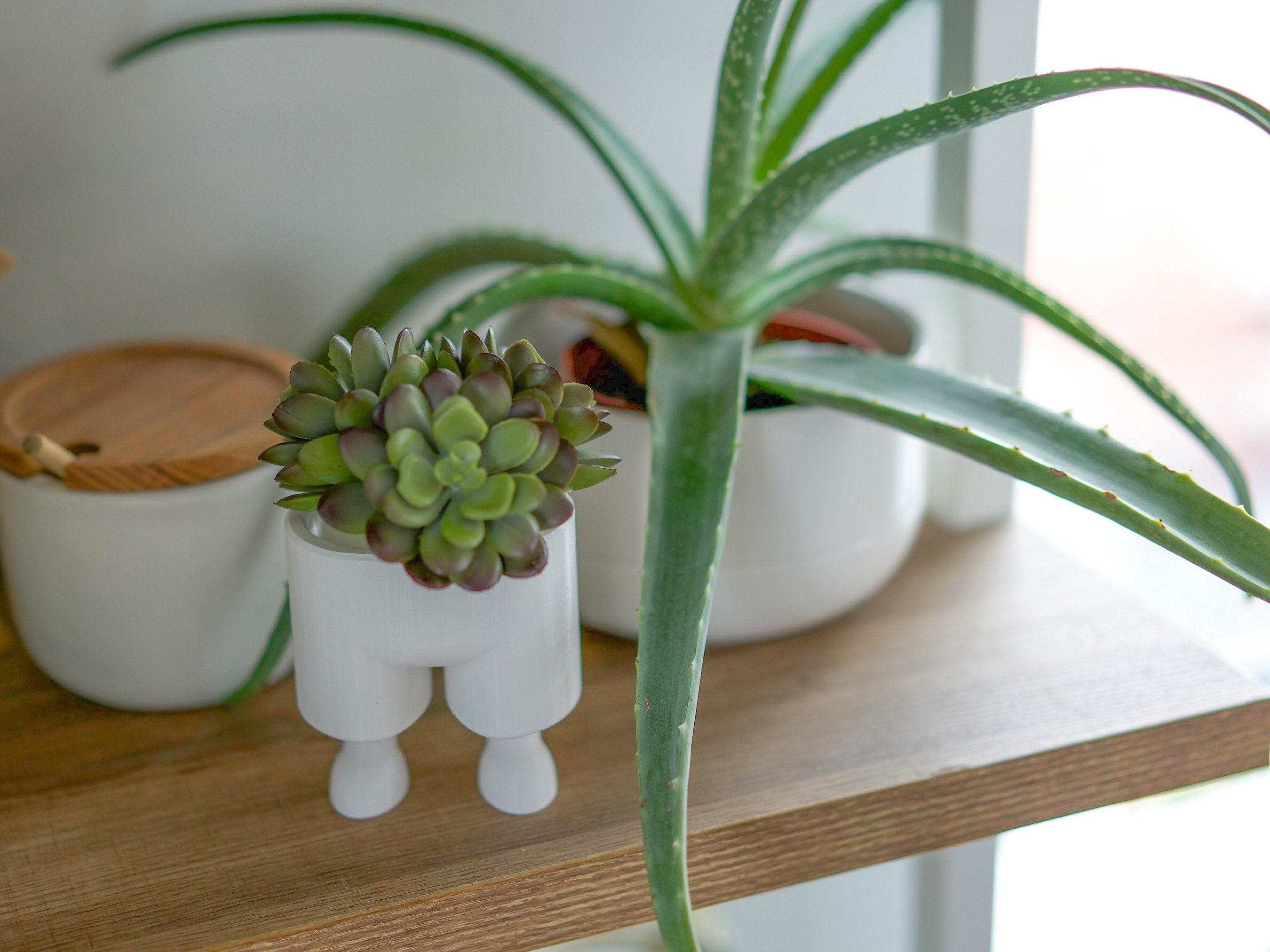 Clever Contraptions Leggi Succulent & Cactus Planter Pot – Small ...