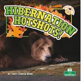 Clever Critters Hibernation Hotshots!, (Paperback) - Walmart.com