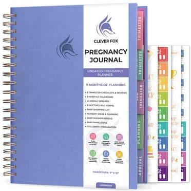 Clever Fox Daily Personal Organizer and Goals Journal - Budget Planner ...