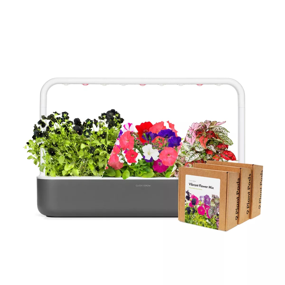Click & Grow Indoor Vibrant Flower Gardening Kit | Smart Garden 9 with ...