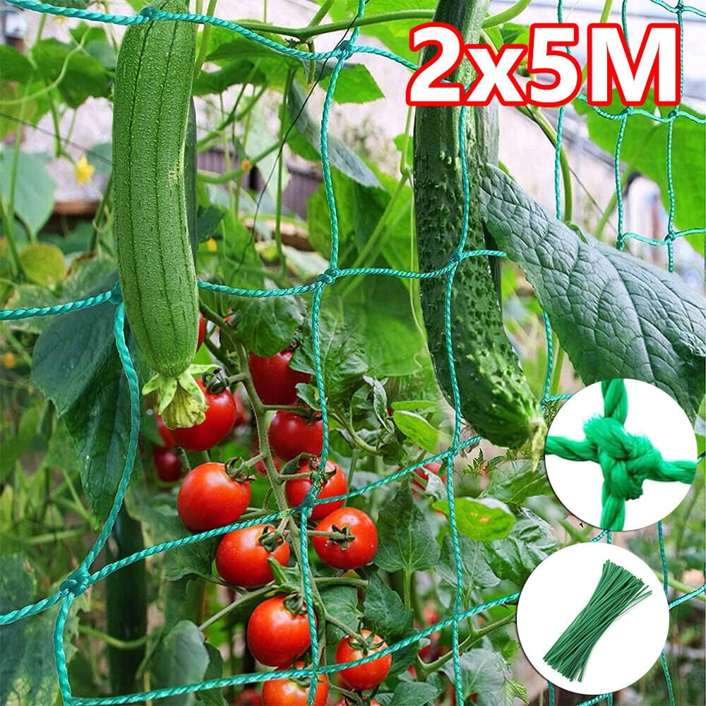 Climbing Net Plant Net for Cucumbers Tomatoes Beans Greenhouse 2mx5m - Walmart.com