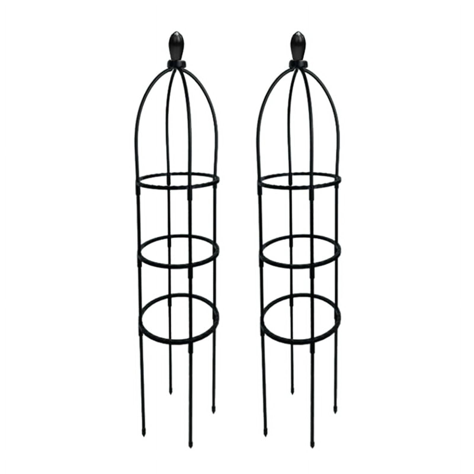 Climbing Plant Obelisk Trellis, Garden Vine Stand, Flower Tower,2pcs(B ...