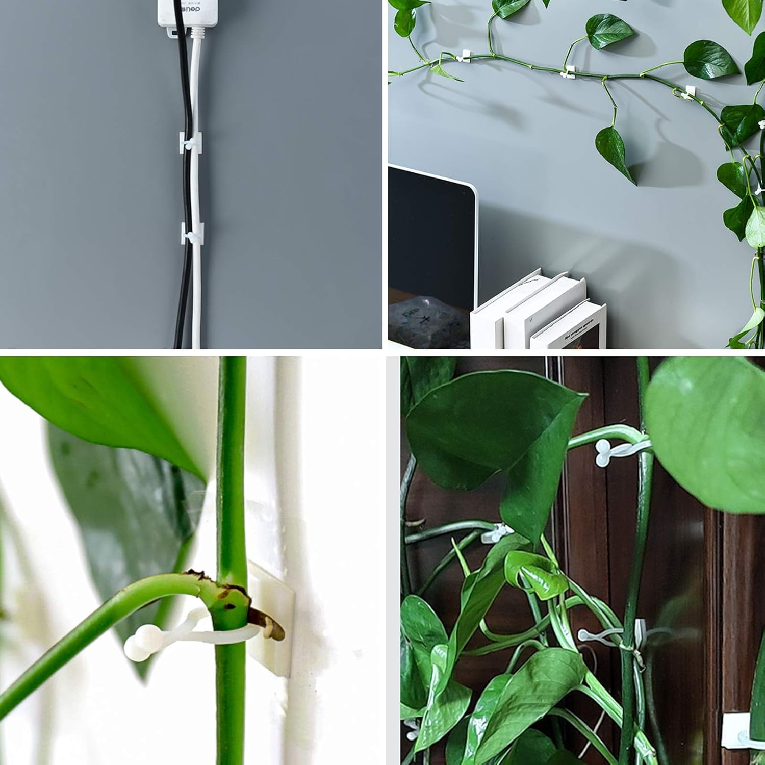 Climbing Plant Support System, Space Saving Design Wall Fixture for ...